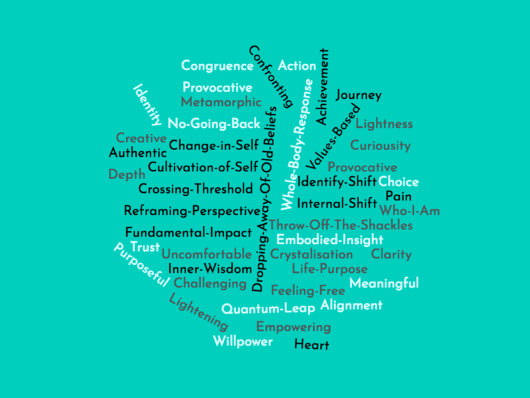 What is transformational coaching? - Catalyst 14